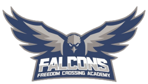 Blue Chip Elite – Basketball Academy